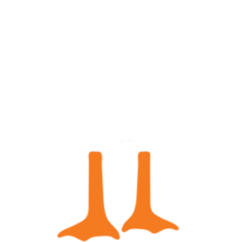 SCHEDULE - The Goose Chase
