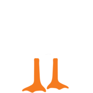 Home - The Goose Chase
