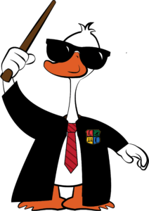 Sorcerer’s Sprint - The Goose Chase